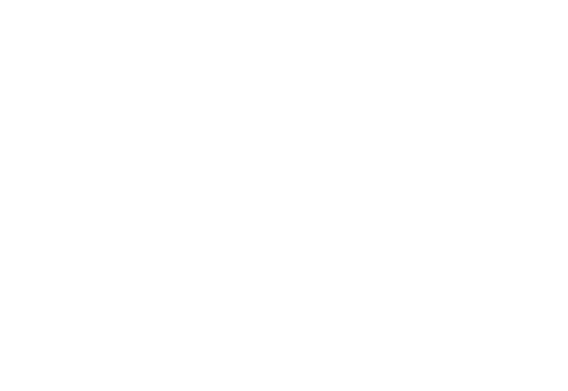 Best Haircuts St Petersburg FL | Expert Hair Styling Near Me | Amore Salon